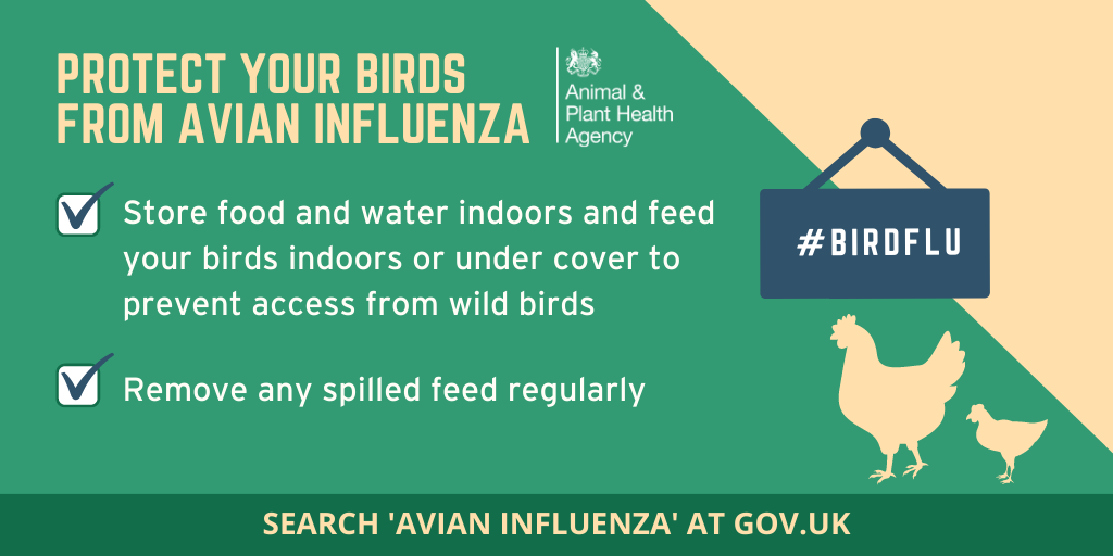 The latest Avian Flu Guidance from Defra – The National Gamekeepers ...