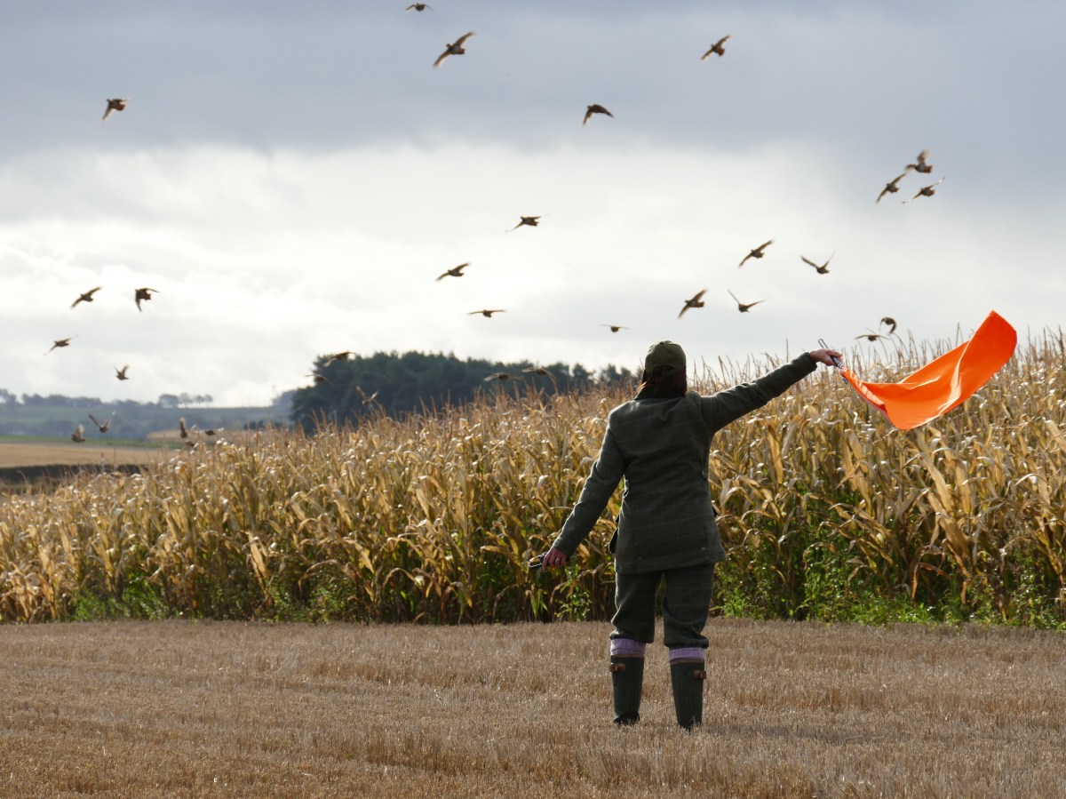 A Gamekeepers’ Life: Keeper, Tracy Howe almost fell into gamekeeping ...