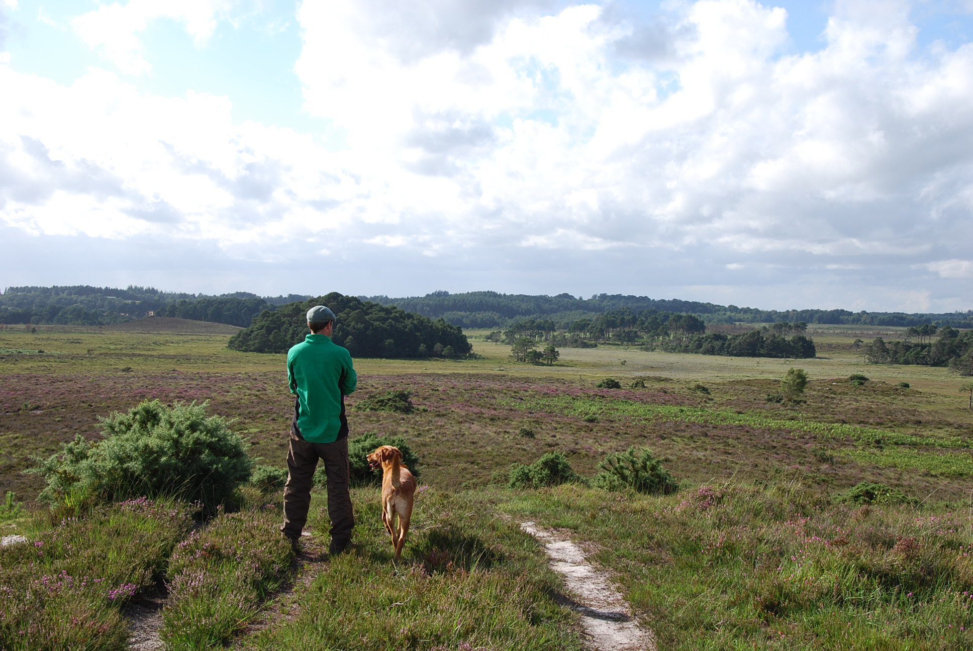 A Gamekeepers’ Life: Austin Weldon tells us about life as a New Forest ...